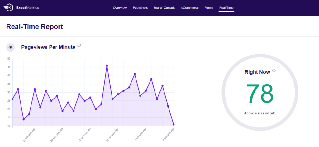 Real-Time Stats - ExactMetrics