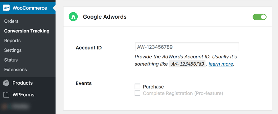 How to Set Up Google Ads Conversion Tracking with WooCommerce with a ...