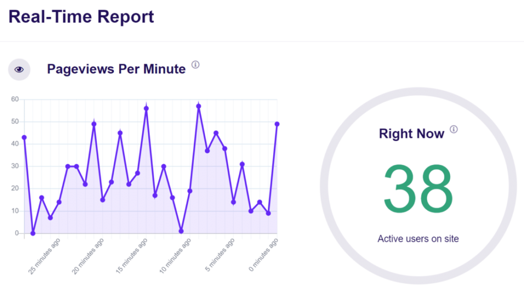 Tutorial: How to Check Number of Visitors on a WordPress Site